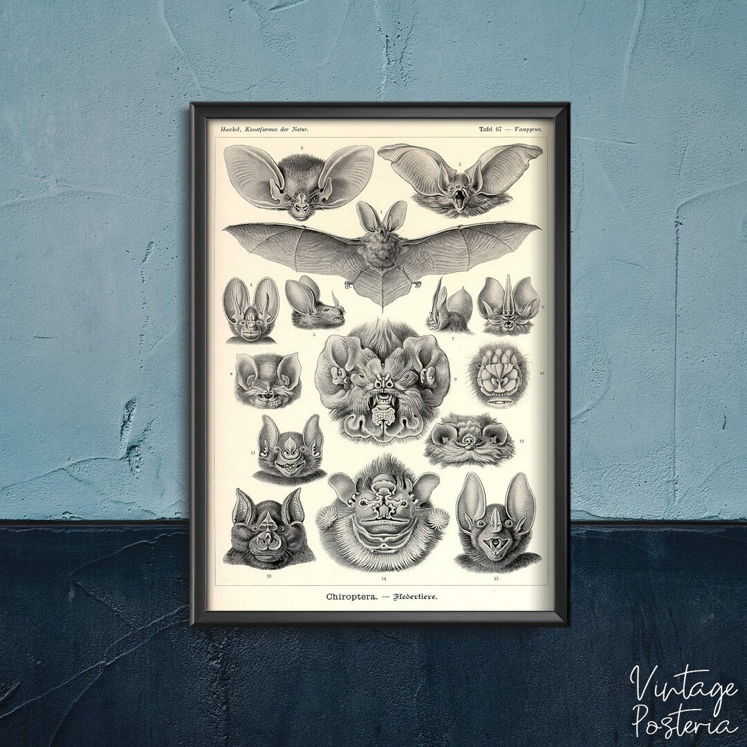Retro Bats Print Retro Poster, Retro Home Decor, Retro , Old Movie Wall ...