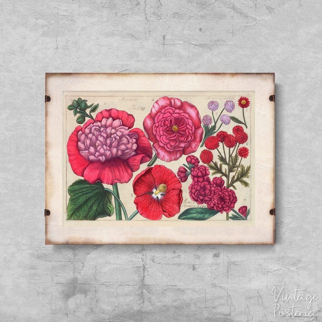 Pink Flower Print Retro Art Reproduction Retro Poster, Self Adhesive ...