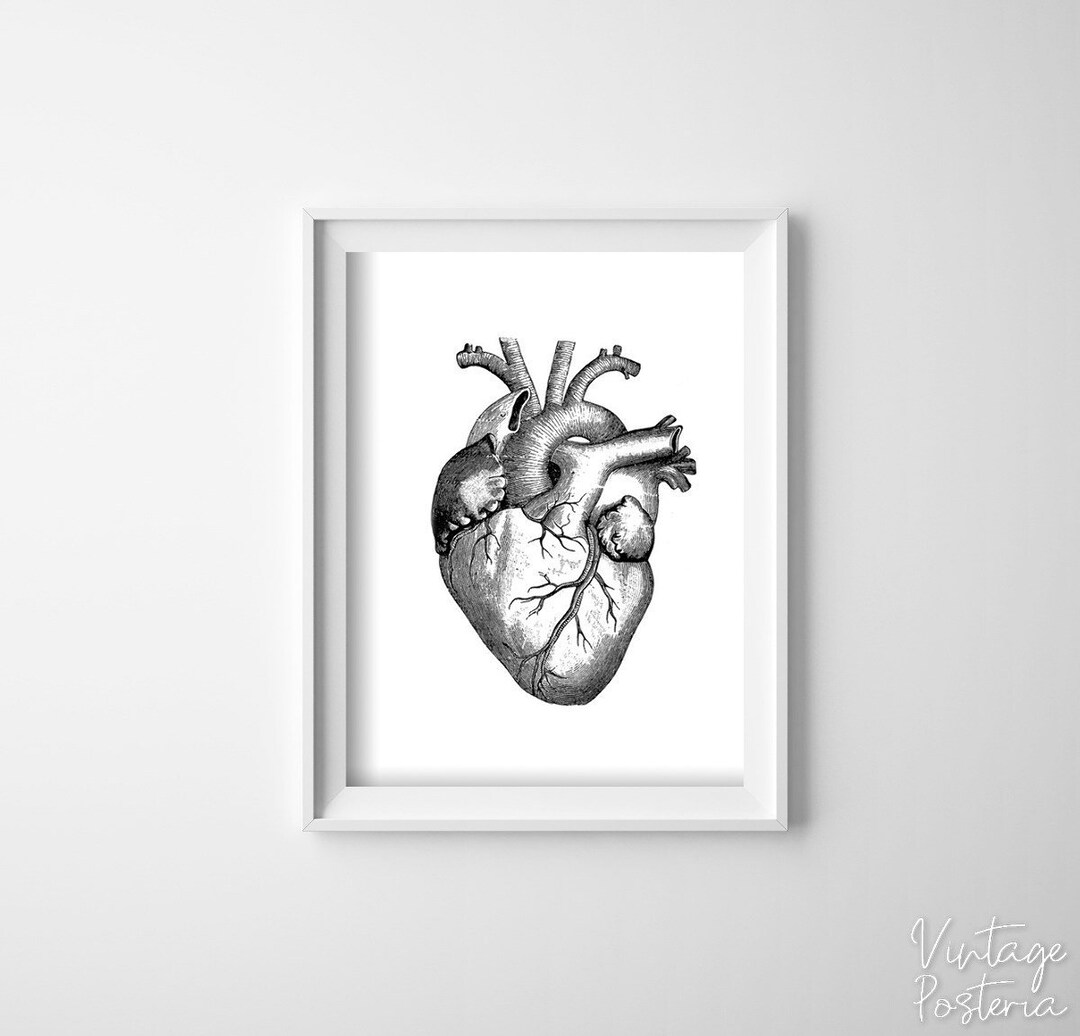 Retro Anatomical Poster Heart Retro Poster, Self Adhesive Poster, Human ...