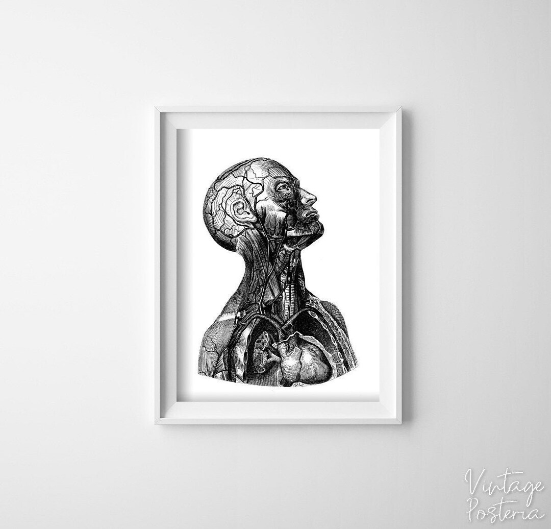 Retro Anatomical Prints Body Neck Retro Poster, Aesthetic Art, Retro ...