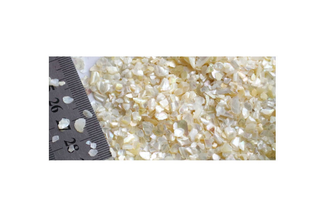 50 Grams Natural Freshwater Shell Chips Undrilled 2-10mm - Etsy