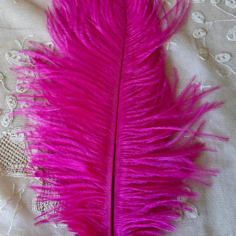 Pink Ostrich Feathers - Etsy