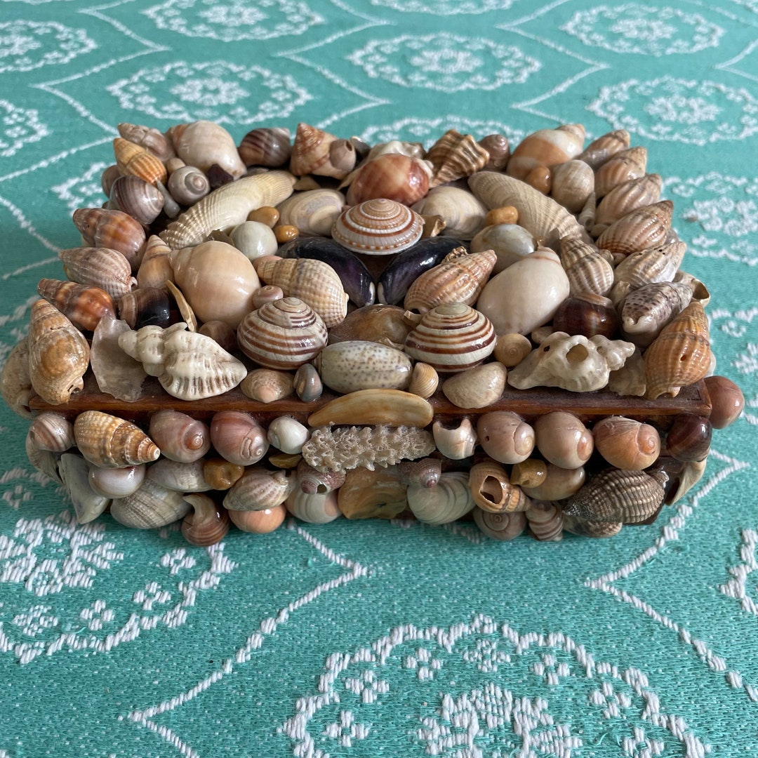 Shell Box. Vintage Treasure, Beach Shells Beach. Ornament. Keepsake ...