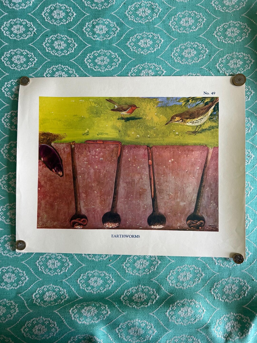 Vintage Earthworms Poster. No 49. Paper Wall Art. Work. Birds. Worms ...