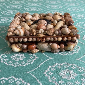 Shell Box. Vintage Treasure, Beach Shells Beach. Ornament. Keepsake ...