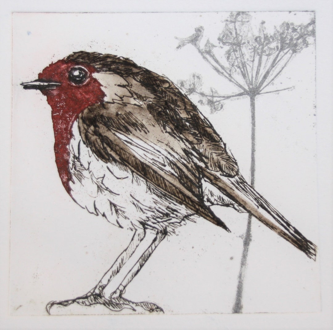 Robin Etching - Etsy