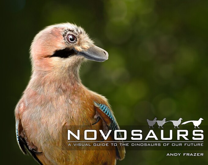 NOVOSAURS Book | Etsy UK