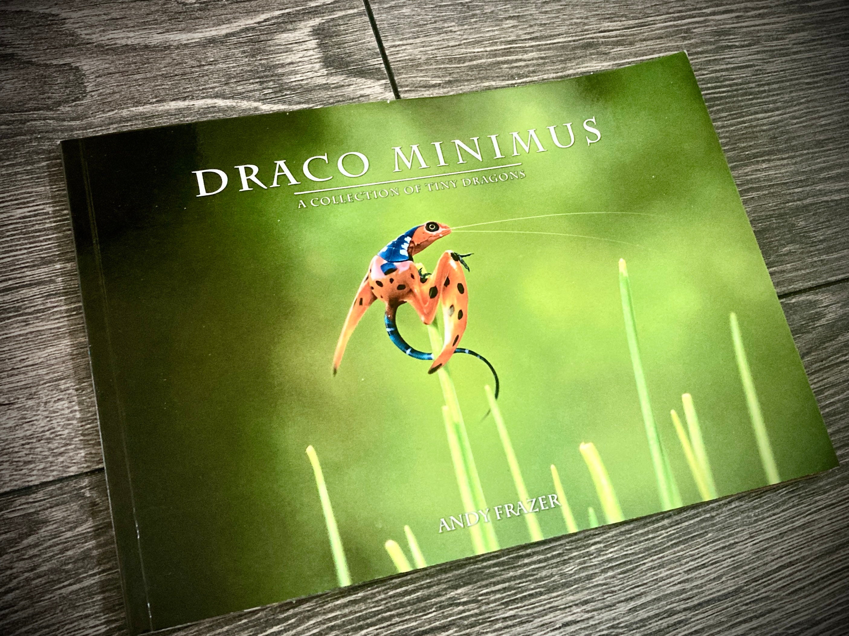 Draco Minimus Book - Etsy UK