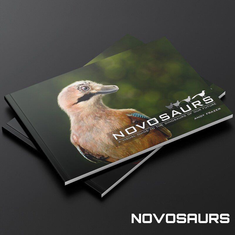 DragonsofWales - Etsy