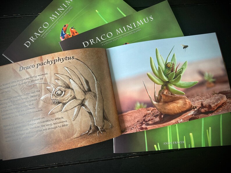 Draco Minimus Book - Etsy