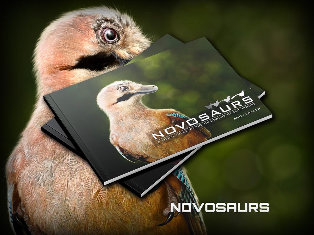 NOVOSAURS Book - Etsy