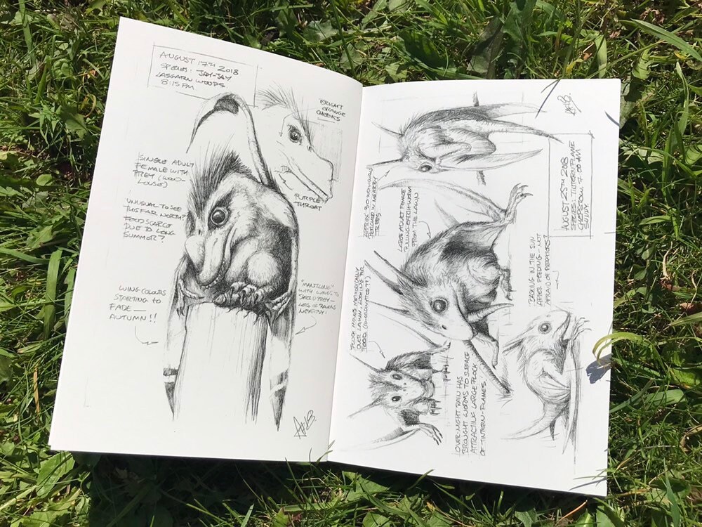 The Dragon Journals volume One - Etsy UK