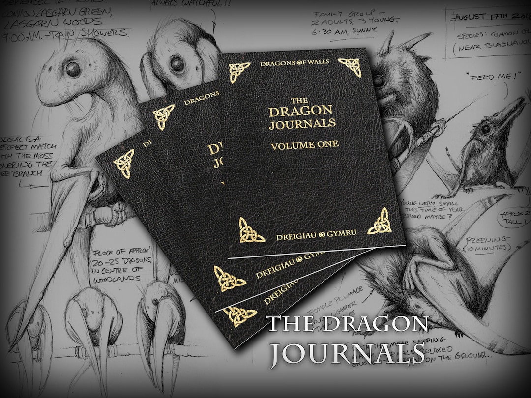 The Dragon Journals (volume One) - Etsy UK