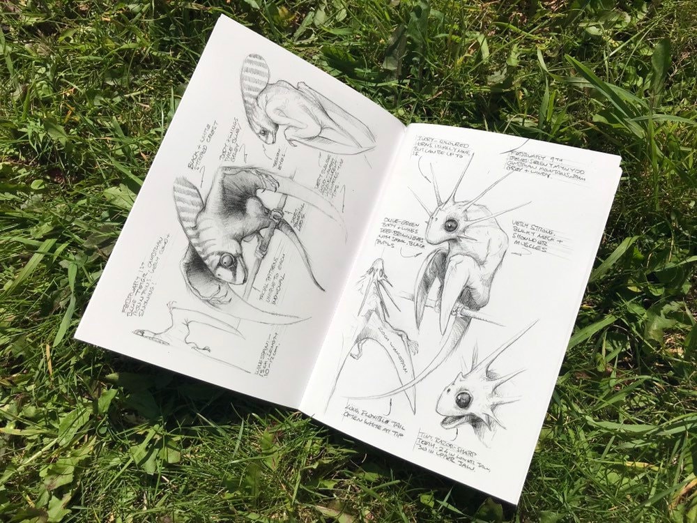 The Dragon Journals volume One | Etsy UK