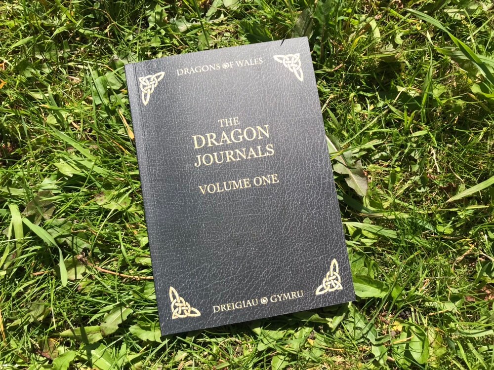 The Dragon Journals volume One | Etsy UK