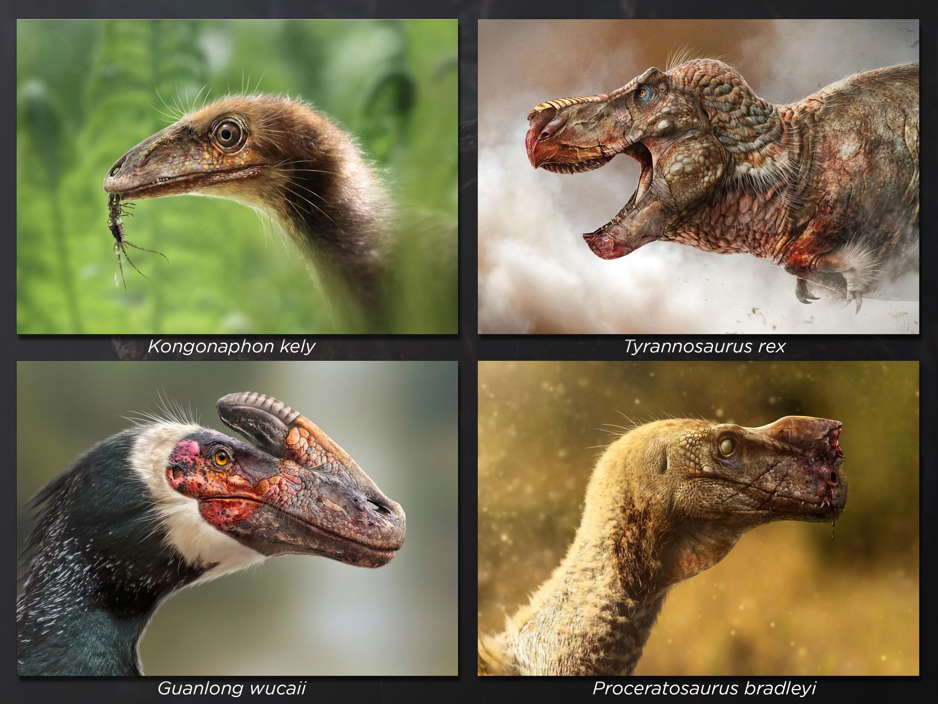 Palaeo Portrait Art Print Pack - Etsy