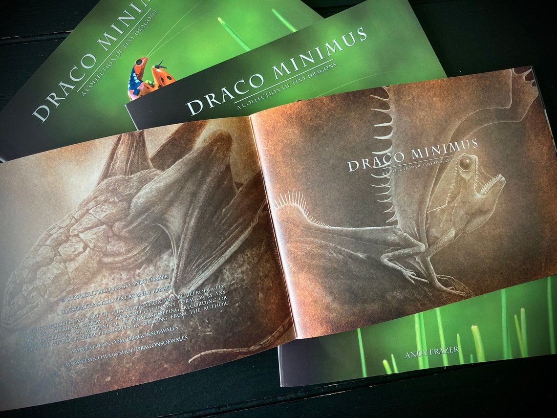 Draco Minimus Book - Etsy