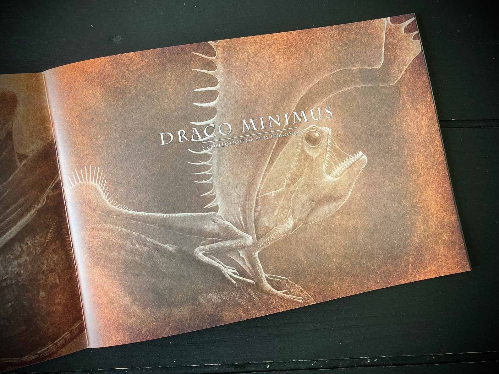 Draco Minimus Book - Etsy