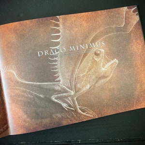 Draco Minimus Book - Etsy