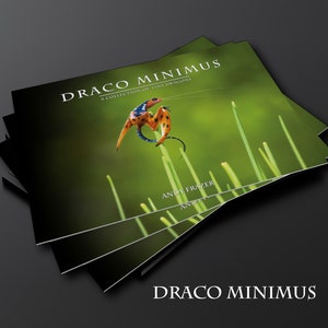 Draco Minimus Book - Etsy