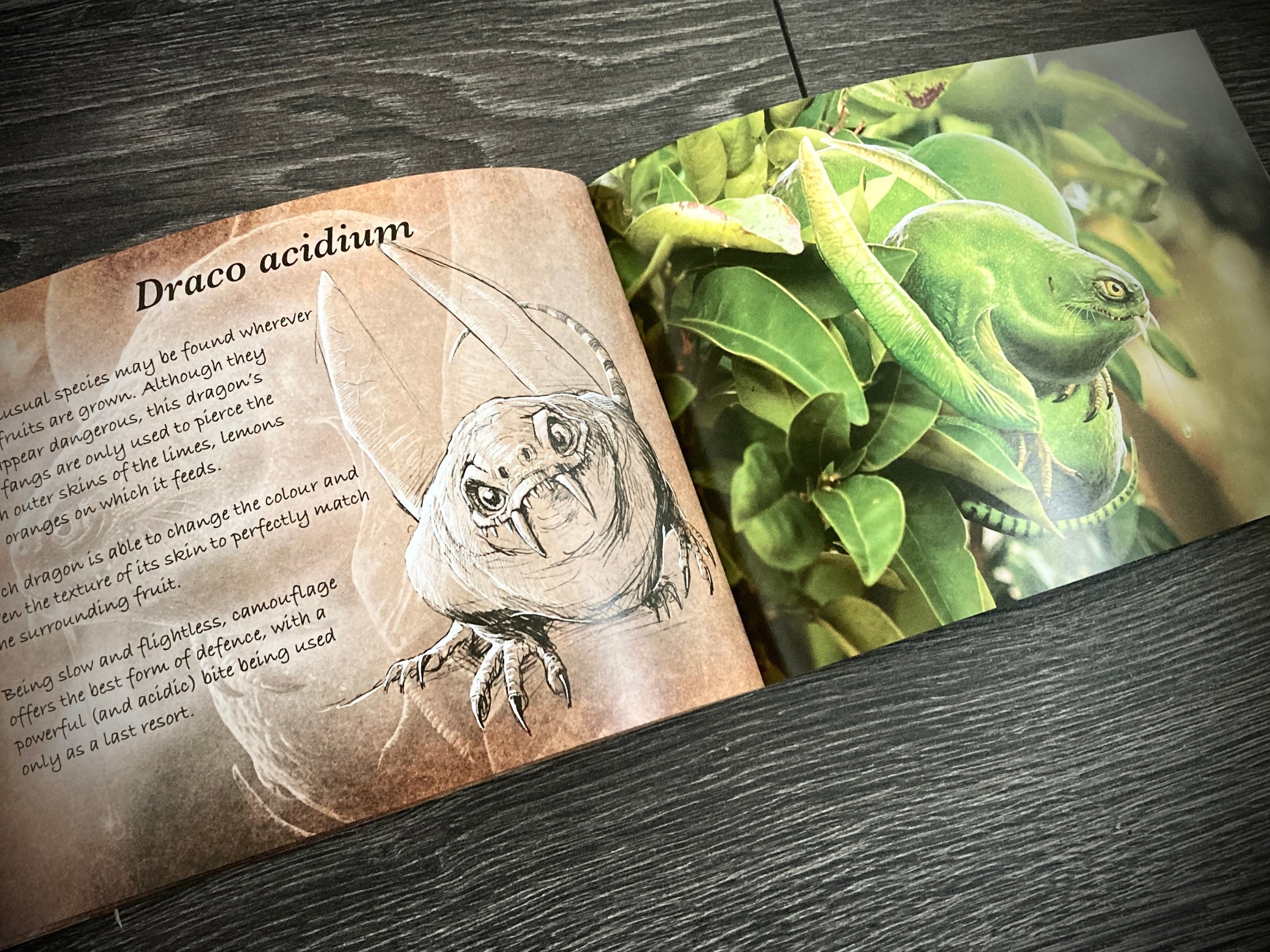 Draco Minimus Book - Etsy UK