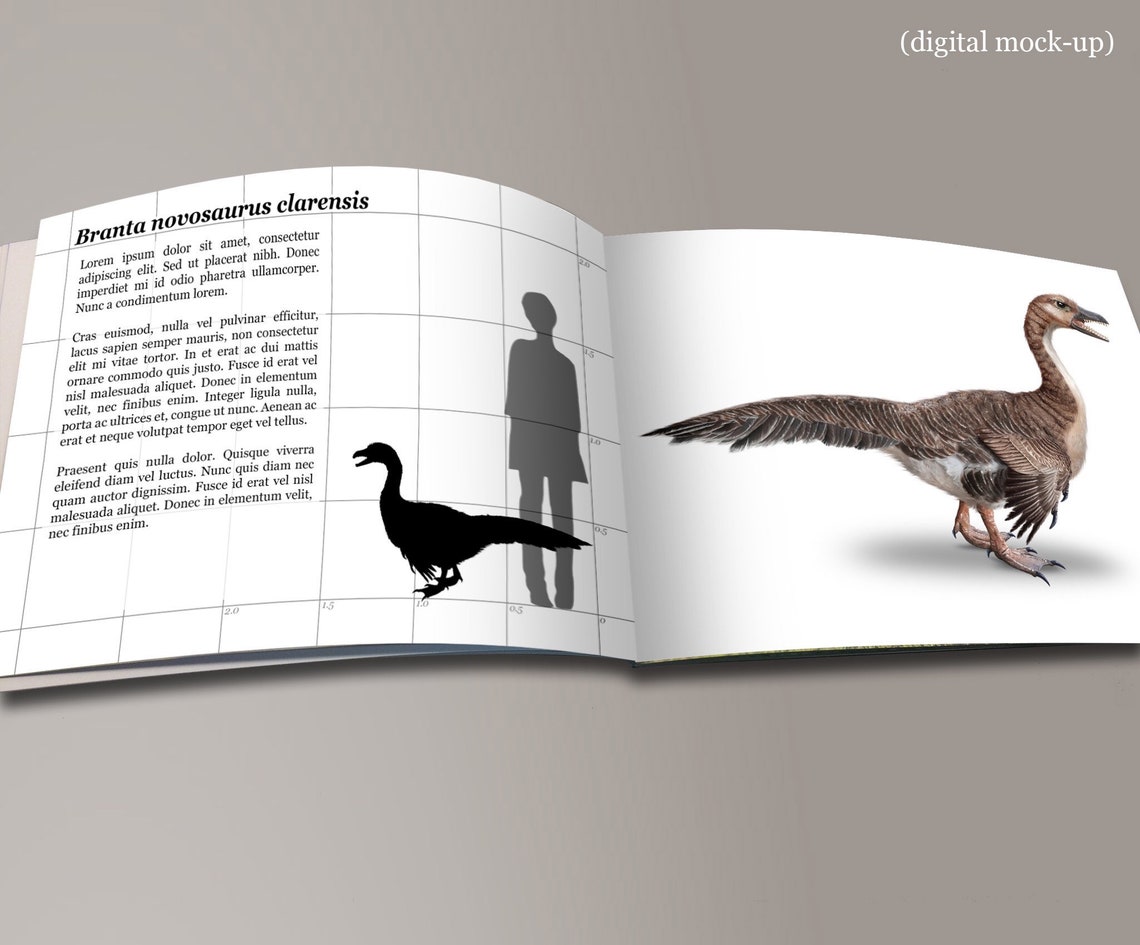 NOVOSAURS Book - Etsy UK