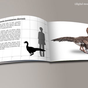 NOVOSAURS Book - Etsy UK