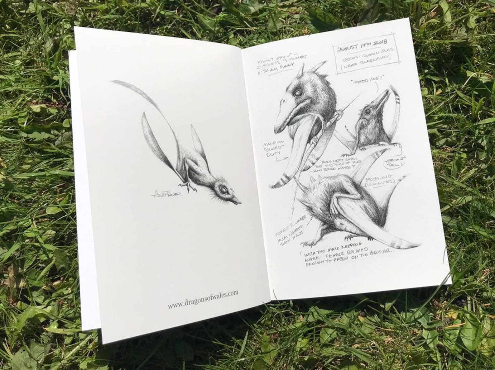 The Dragon Journals volume One - Etsy UK