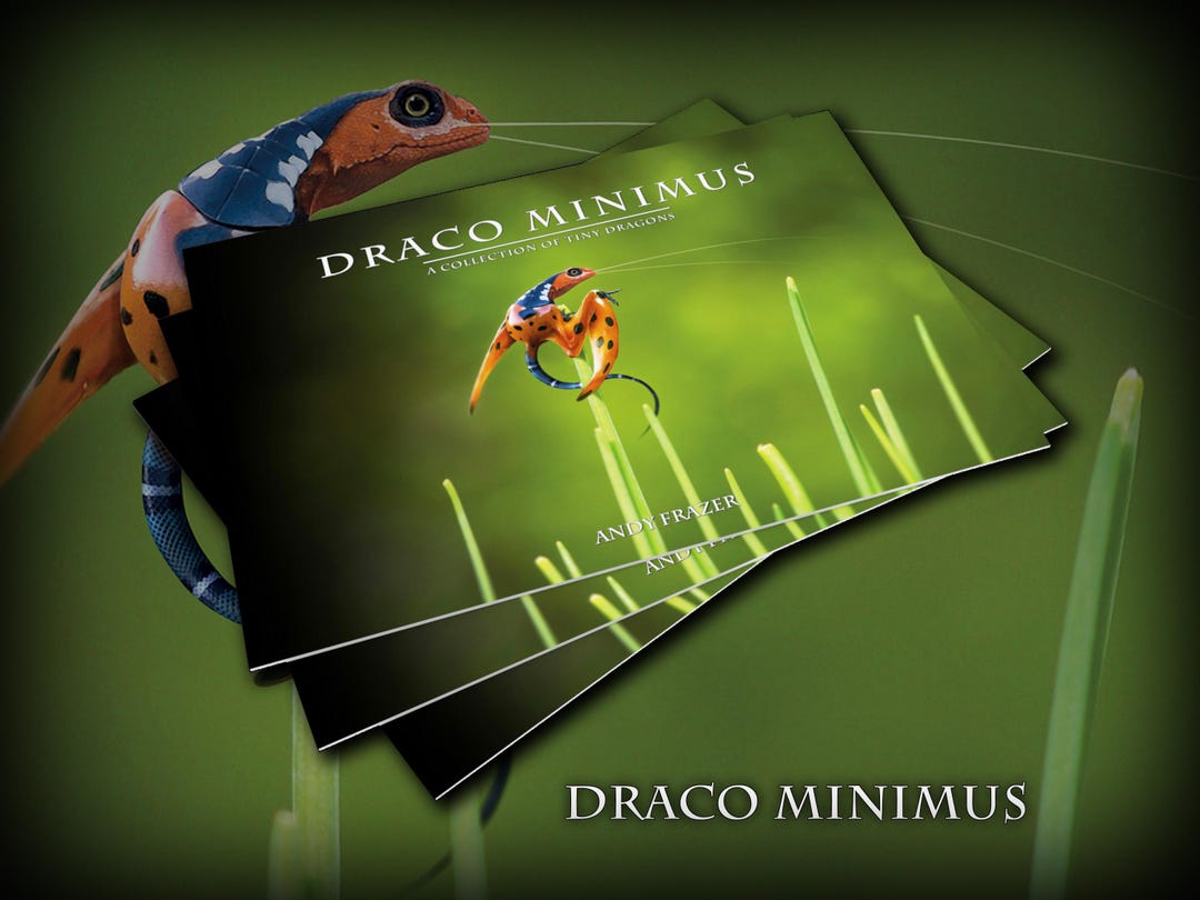 Draco Minimus Book - Etsy
