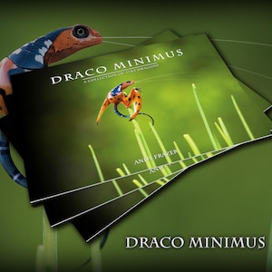 Draco Minimus Book - Etsy