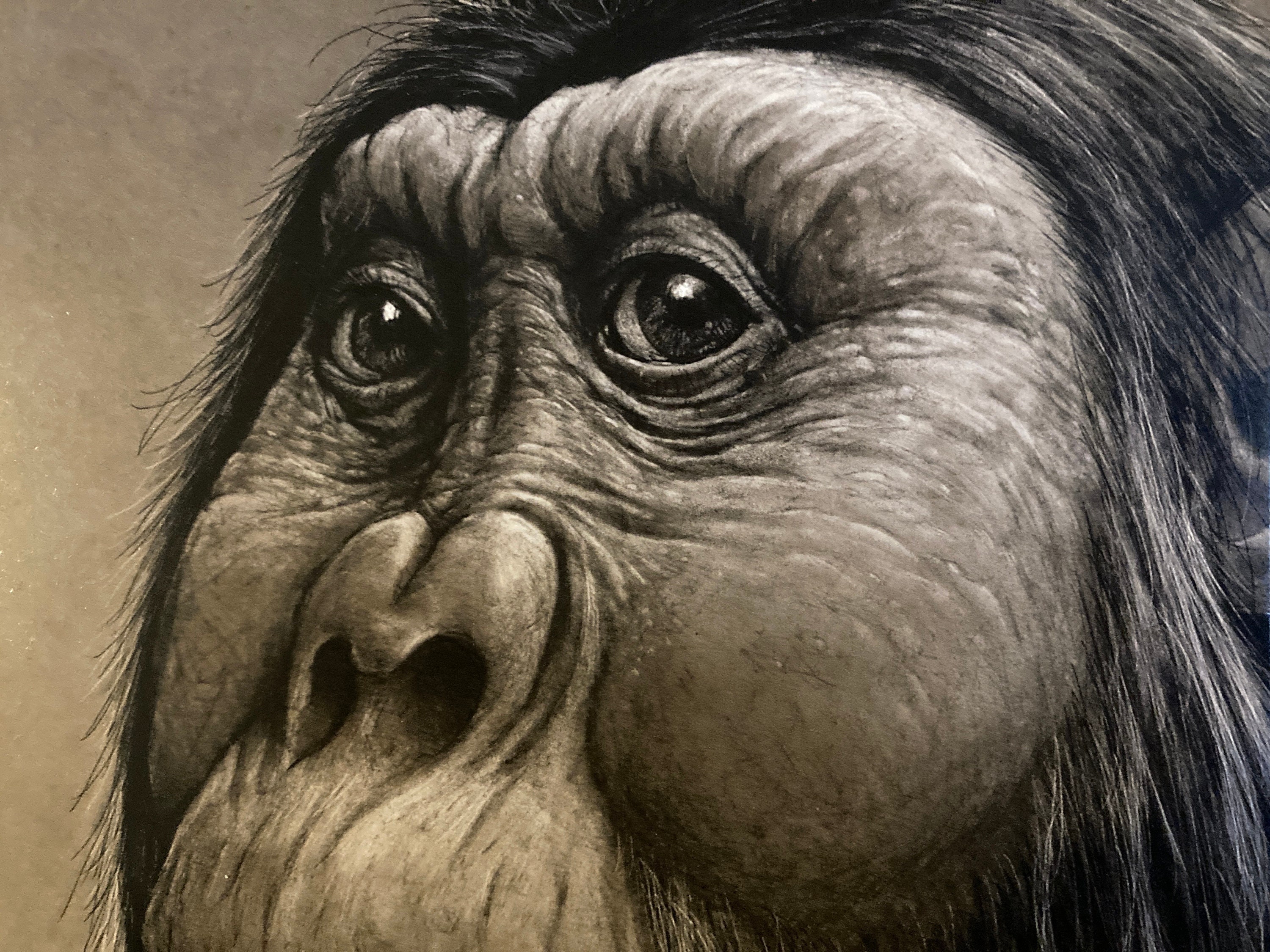 Paranthropus Boisei Signed Art Print - Etsy UK