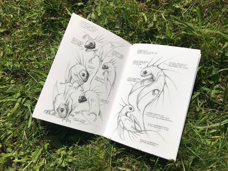 The Dragon Journals volume One - Etsy UK