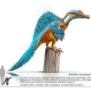 NOVOSAURS 2 Book - Etsy