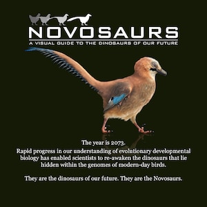 NOVOSAURS Book - Etsy