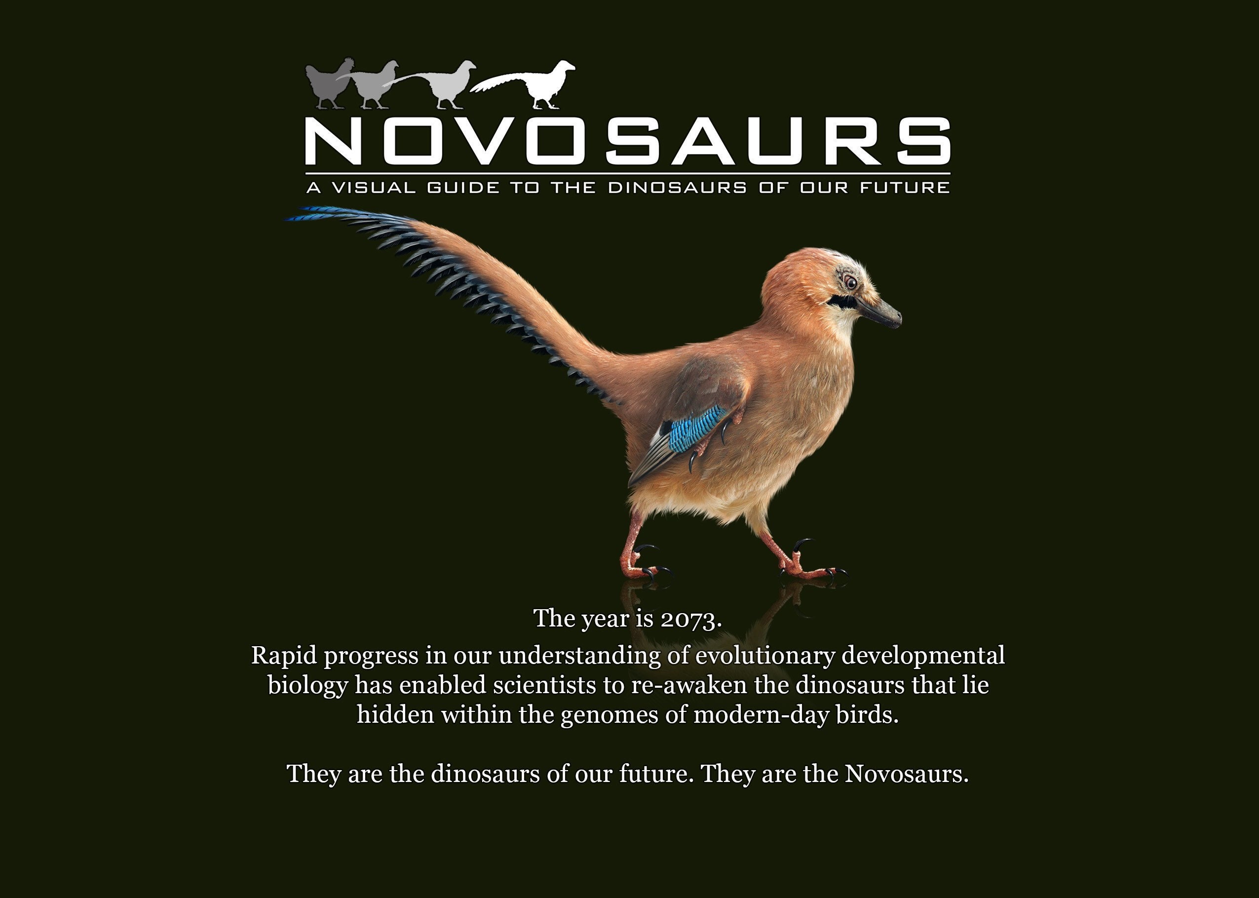 NOVOSAURS Book - Etsy UK