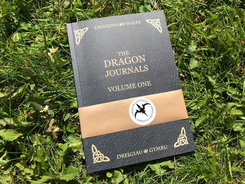 The Dragon Journals volume One | Etsy UK