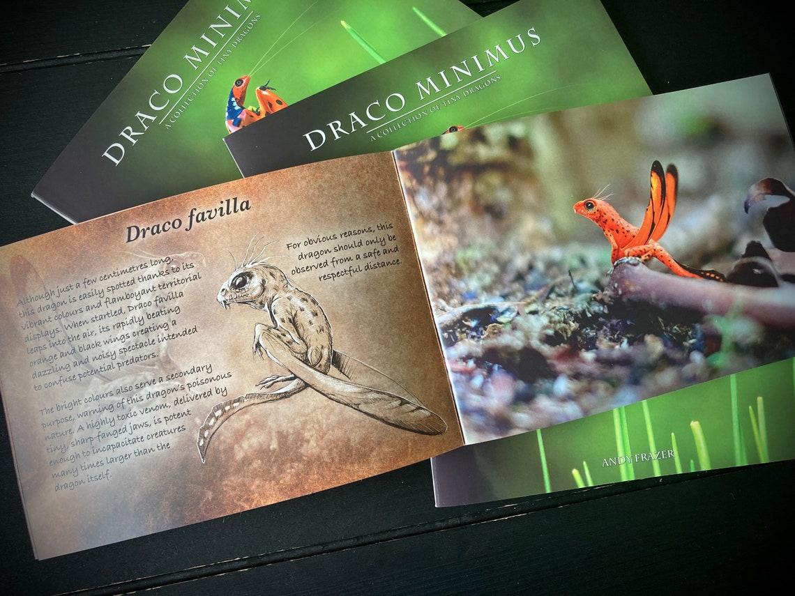 Draco Minimus Book - Etsy