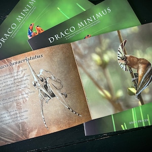 Draco Minimus Book - Etsy