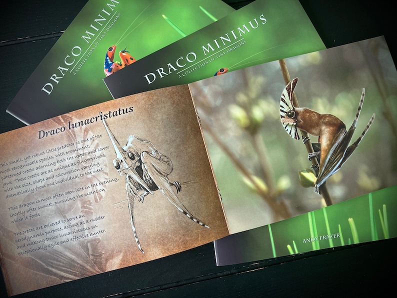 Draco Minimus Book - Etsy
