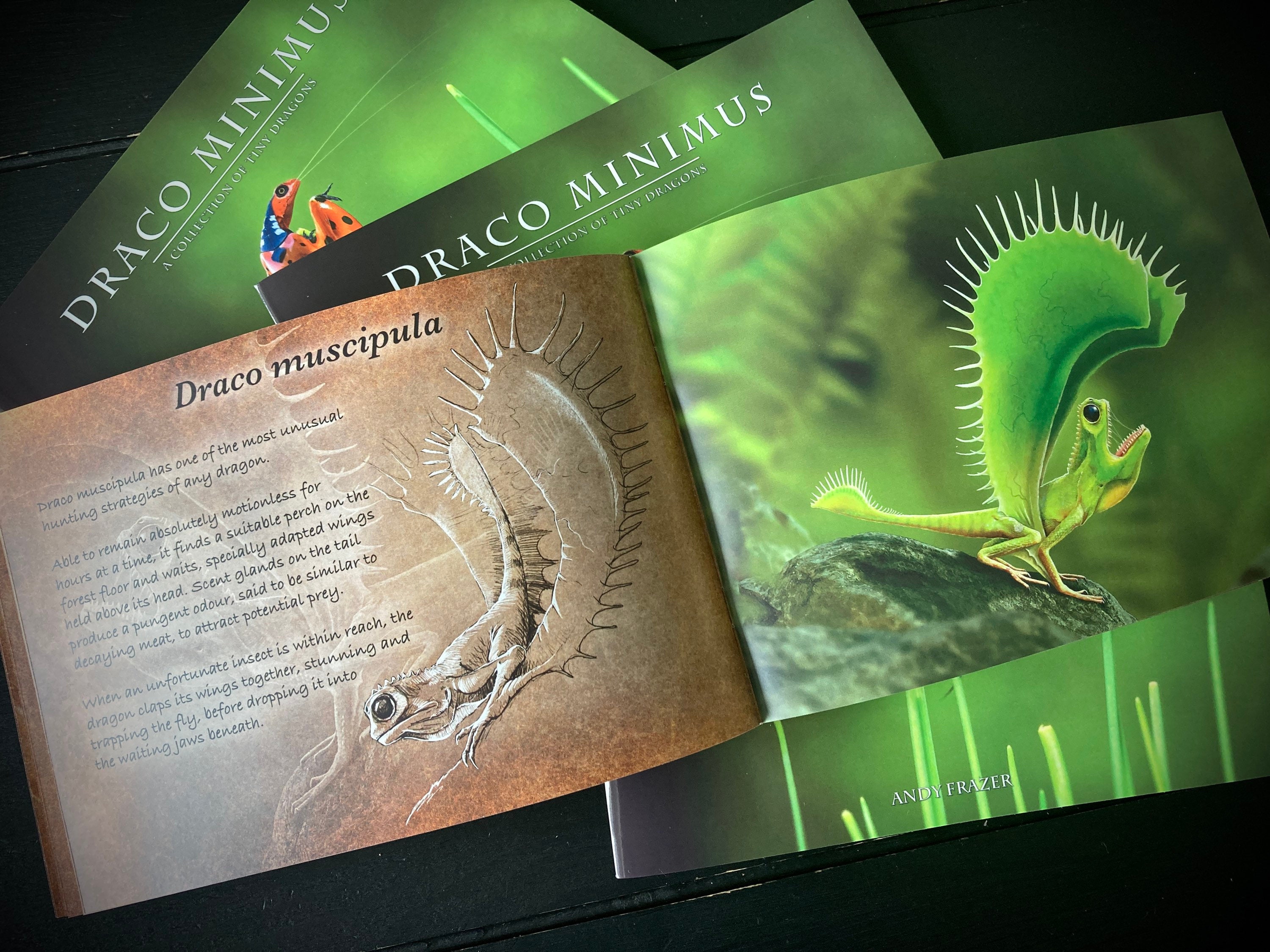 Draco Minimus Book - Etsy UK