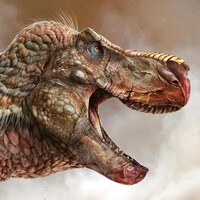 NOVOSAURS 2 Book - Etsy