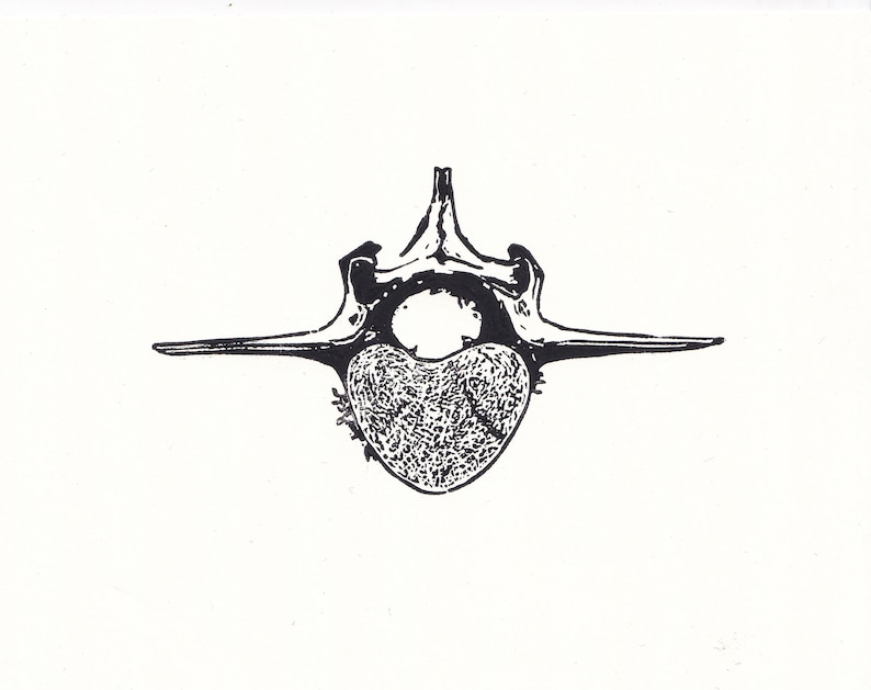 Original Linocut Heart Vertebrae - Etsy