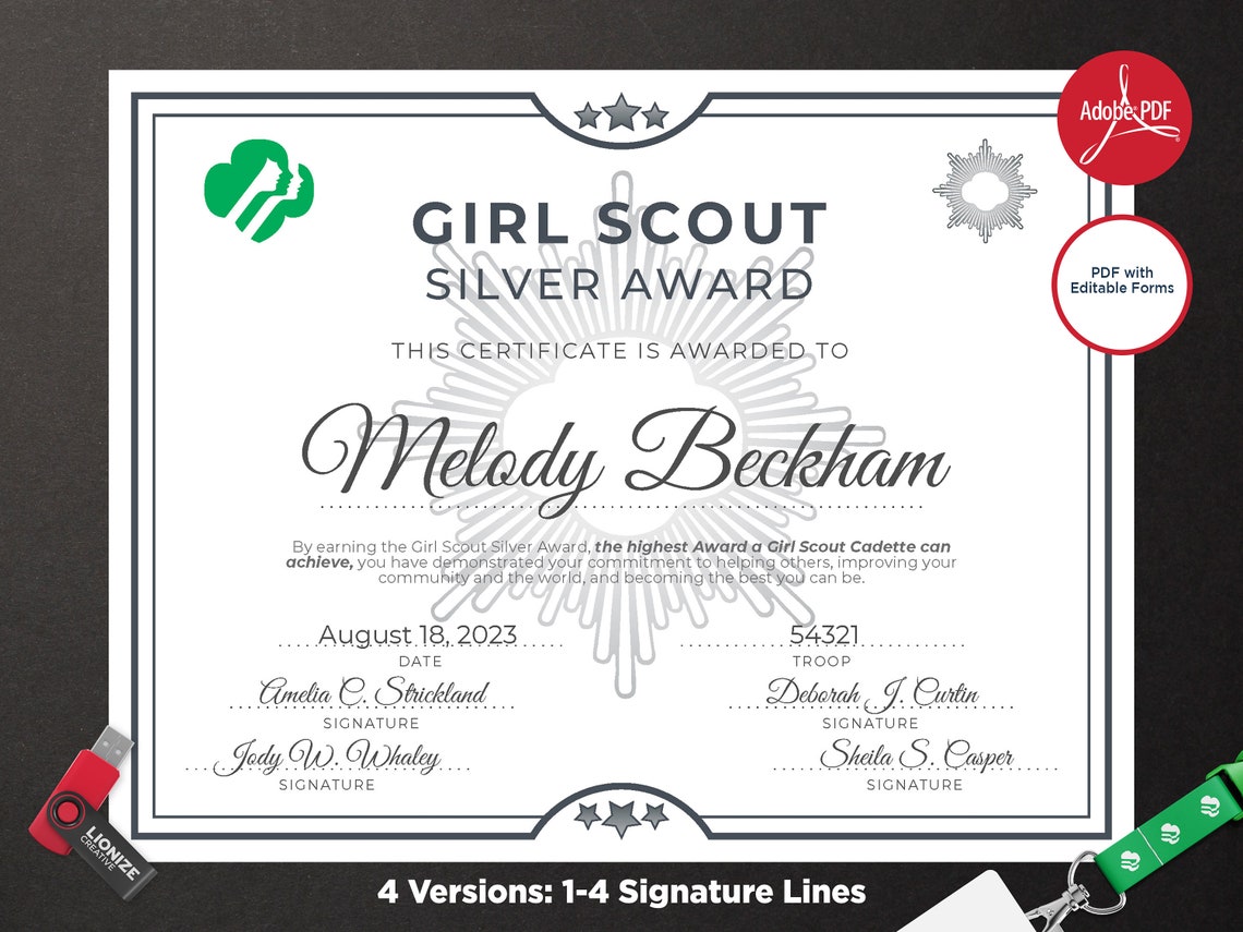 Girl Scout Silver Award Certificate Printable PDF Template - Etsy