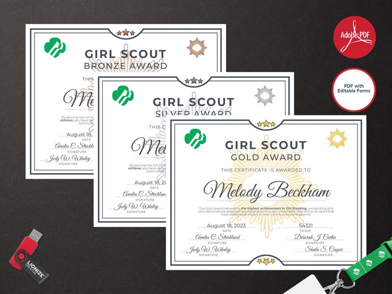 Girl Scout Bronze Silver and Gold Award Certificates Bundle | Etsy