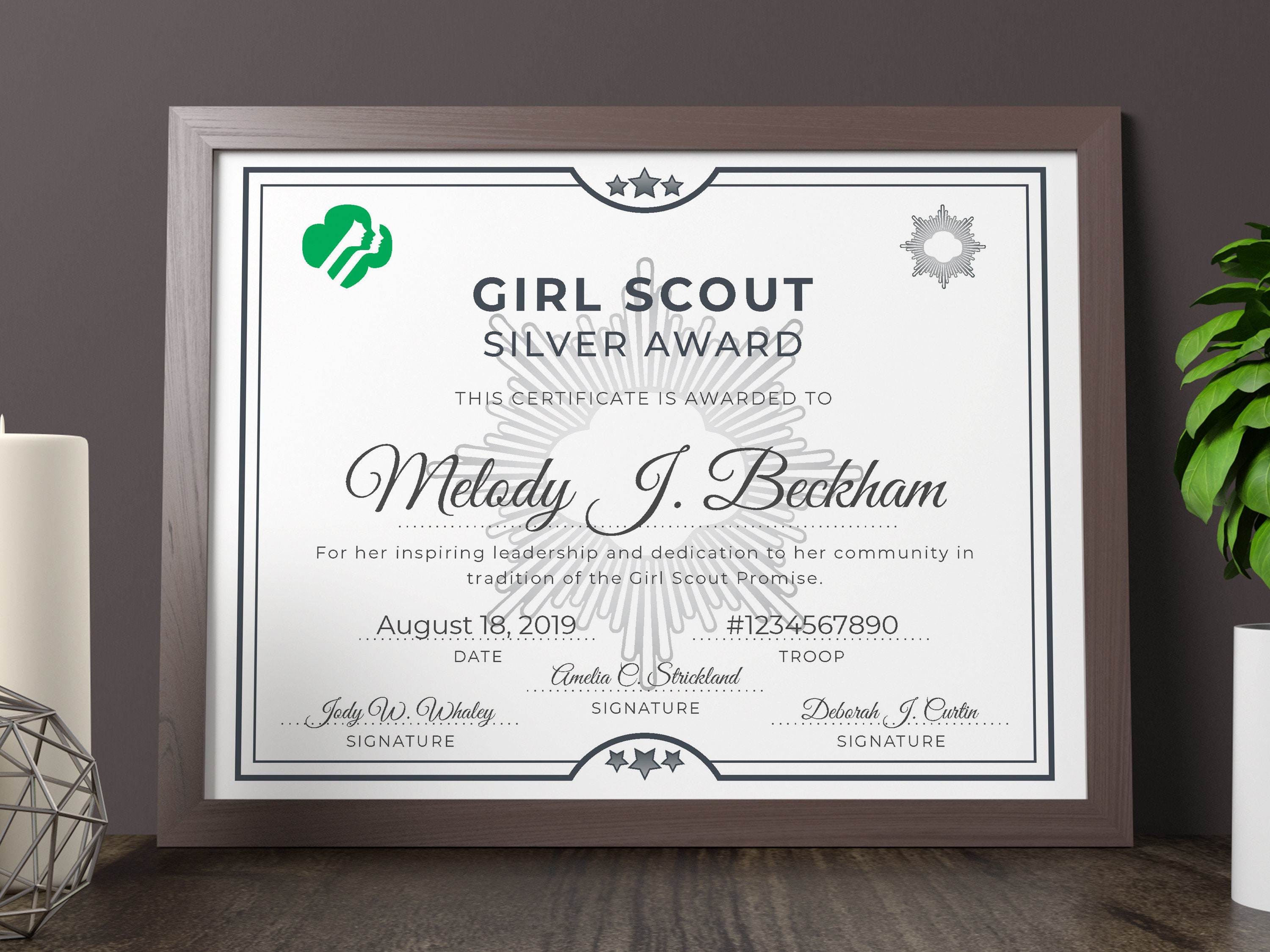 Girl Scout Silver Award Certificate Printable PDF Template | Etsy