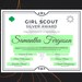 Girl Scout Silver Award Certificate | Printable PDF Template - Etsy Canada