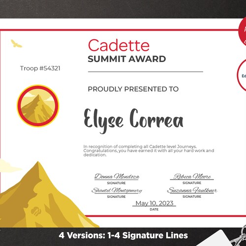 Girl Scout Bronze Award Certificate Printable PDF Template - Etsy
