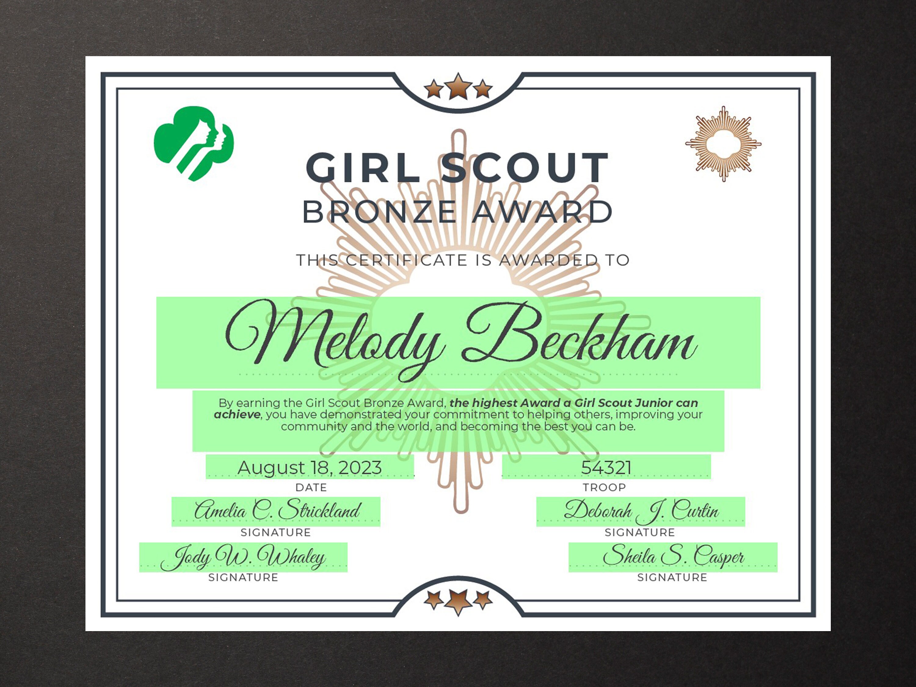 Girl Scout Bronze Award Certificate Printable PDF Template - Etsy