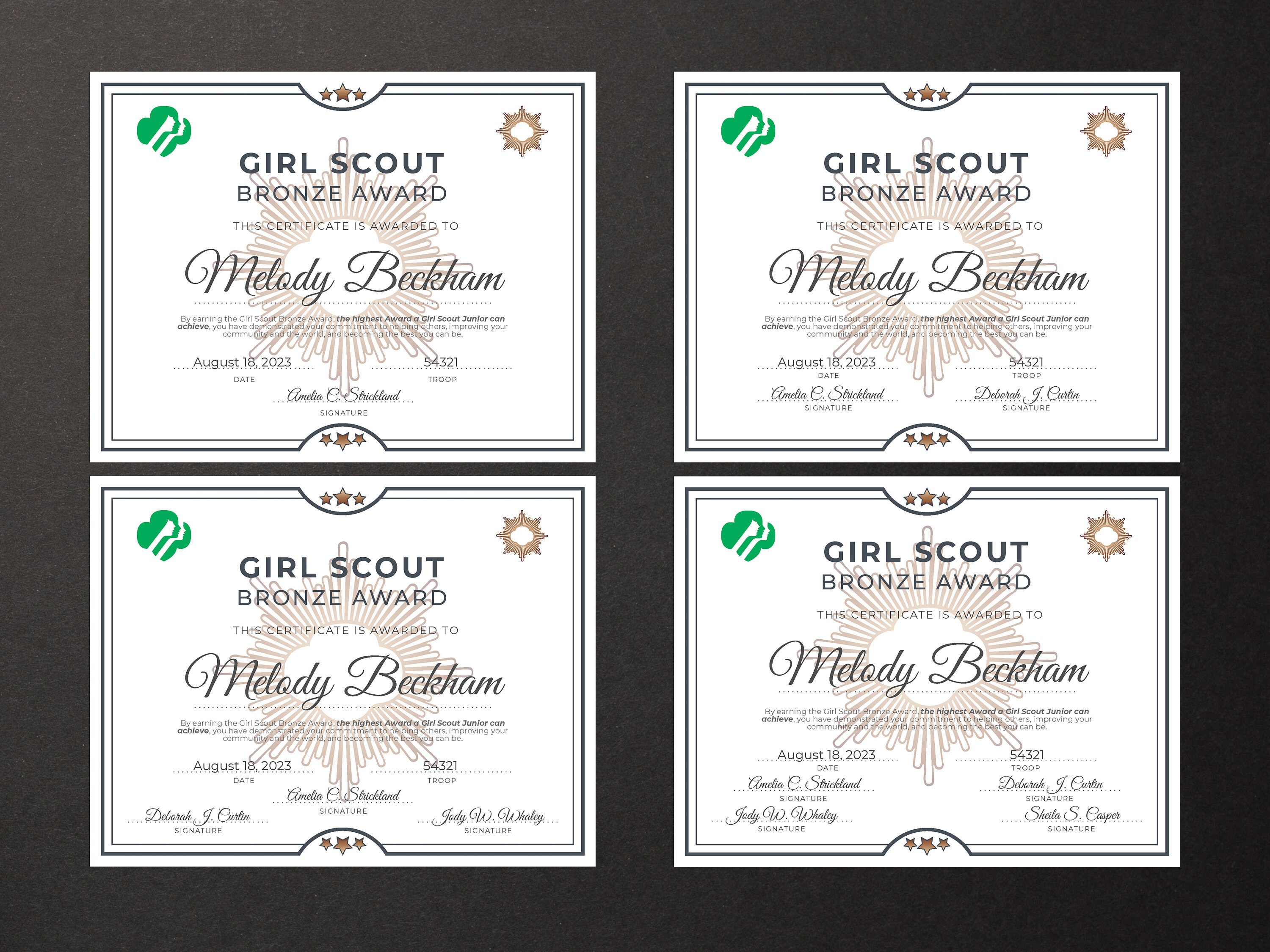 Girl Scout Bronze Award Certificate Printable PDF Template - Etsy