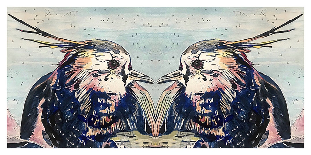 Simetría de avefría / Impresión giclée original / Arte de pared de aves ...
